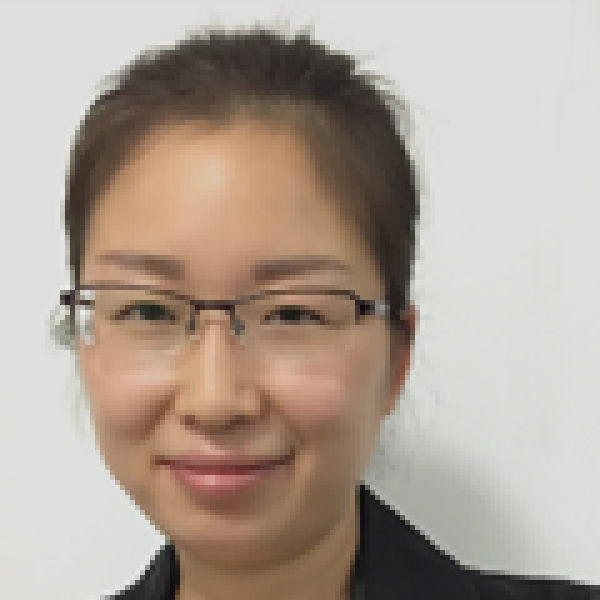 Global team | Hailo Wind Systems