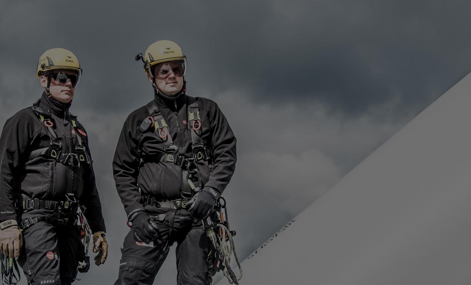 Ladders | Hailo Wind Systems