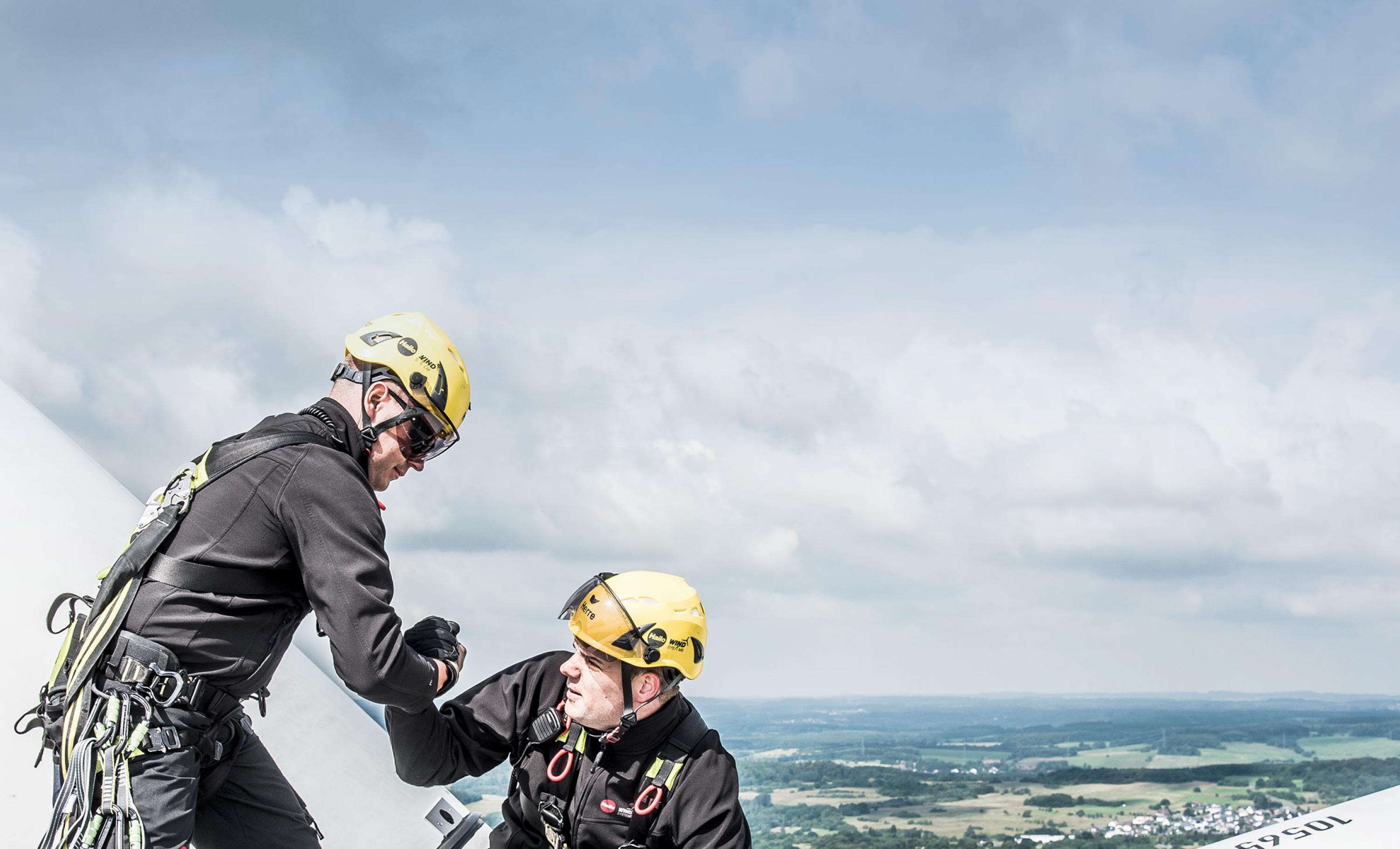 Ladders | Hailo Wind Systems